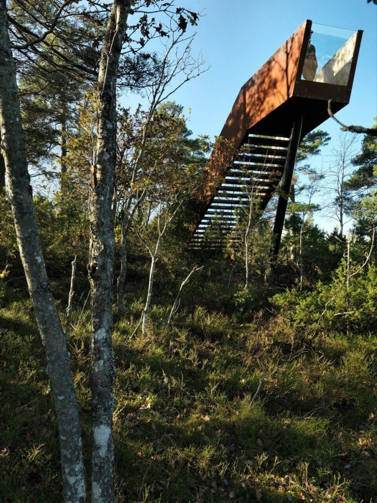 10+ Mysterious Random Staircases in the Woods From Reddit