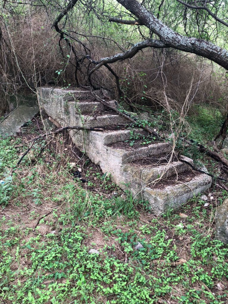 10+ Mysterious Random Staircases in the Woods From Reddit