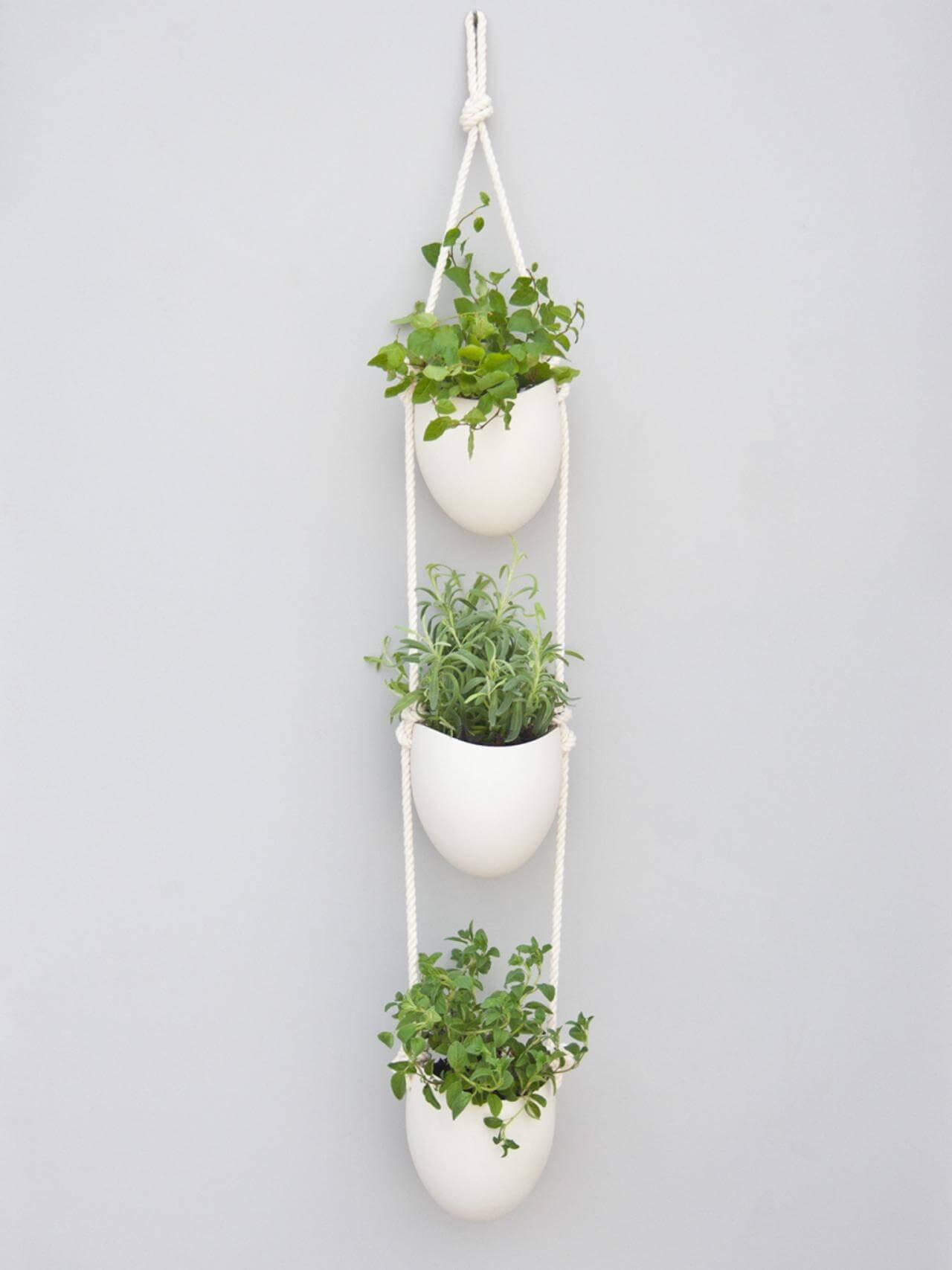 20 Indoor Herb Garden Ideas - Every Garden Lover Fall In Love With