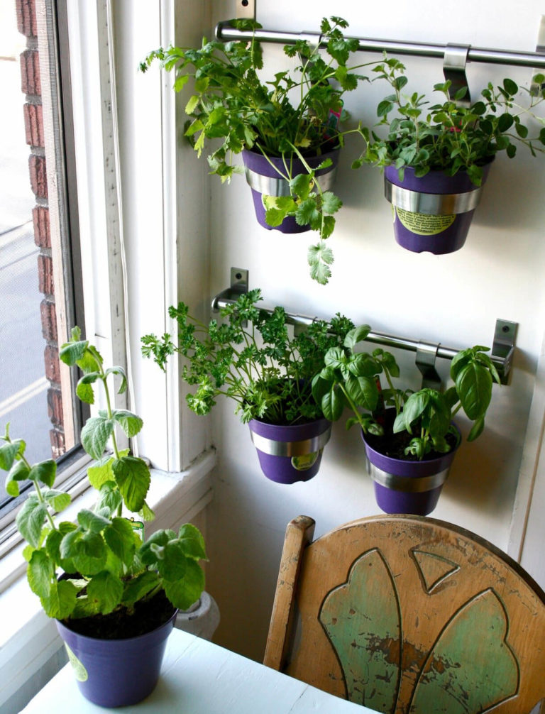 20 Indoor Herb Garden Ideas - Every Garden Lover Fall In Love With