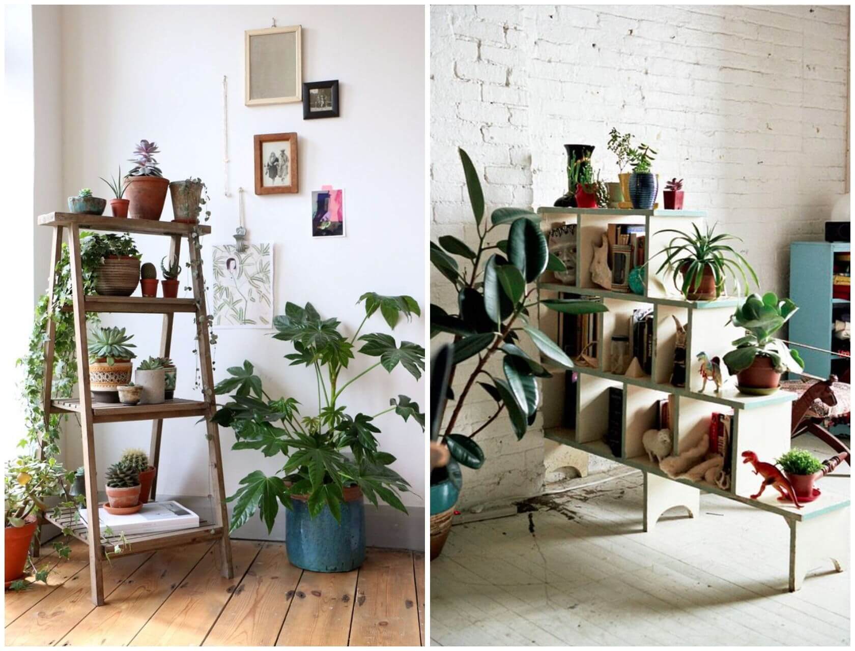 22 Stunning Ideas For Indoor House Plant