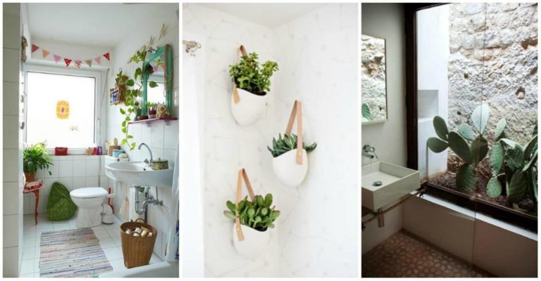 22 Stunning Ideas For Indoor House Plant