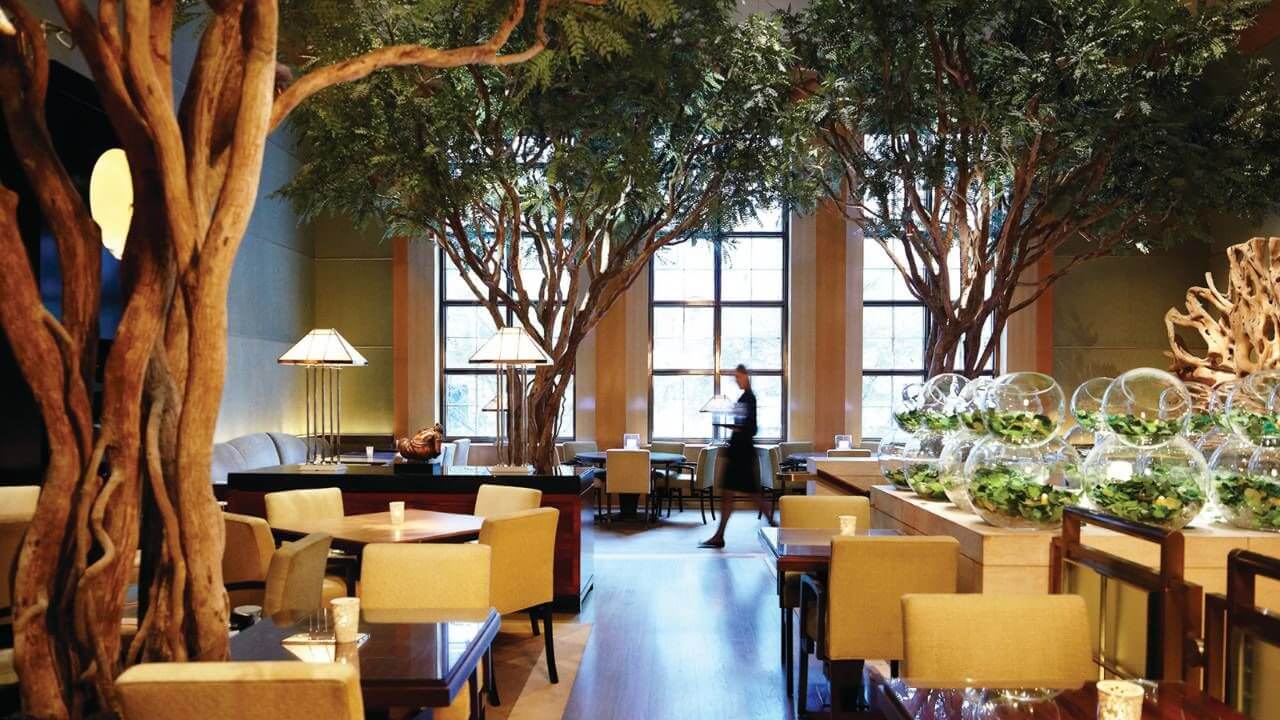 Garden Restaurant Design Ideas With Interior Look