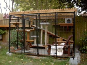 Cat House Design Images - Modern Cat Houses of 2024