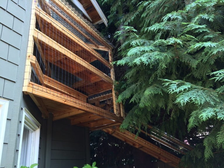 Cat House Design Images - Modern Cat Houses of 2024