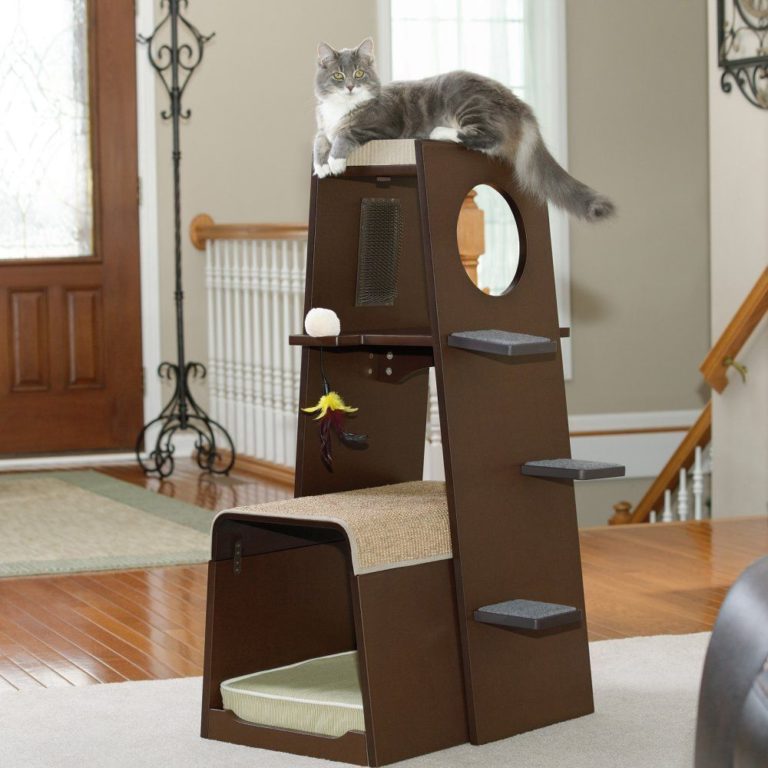 Cat House Design Images - Modern Cat Houses of 2024