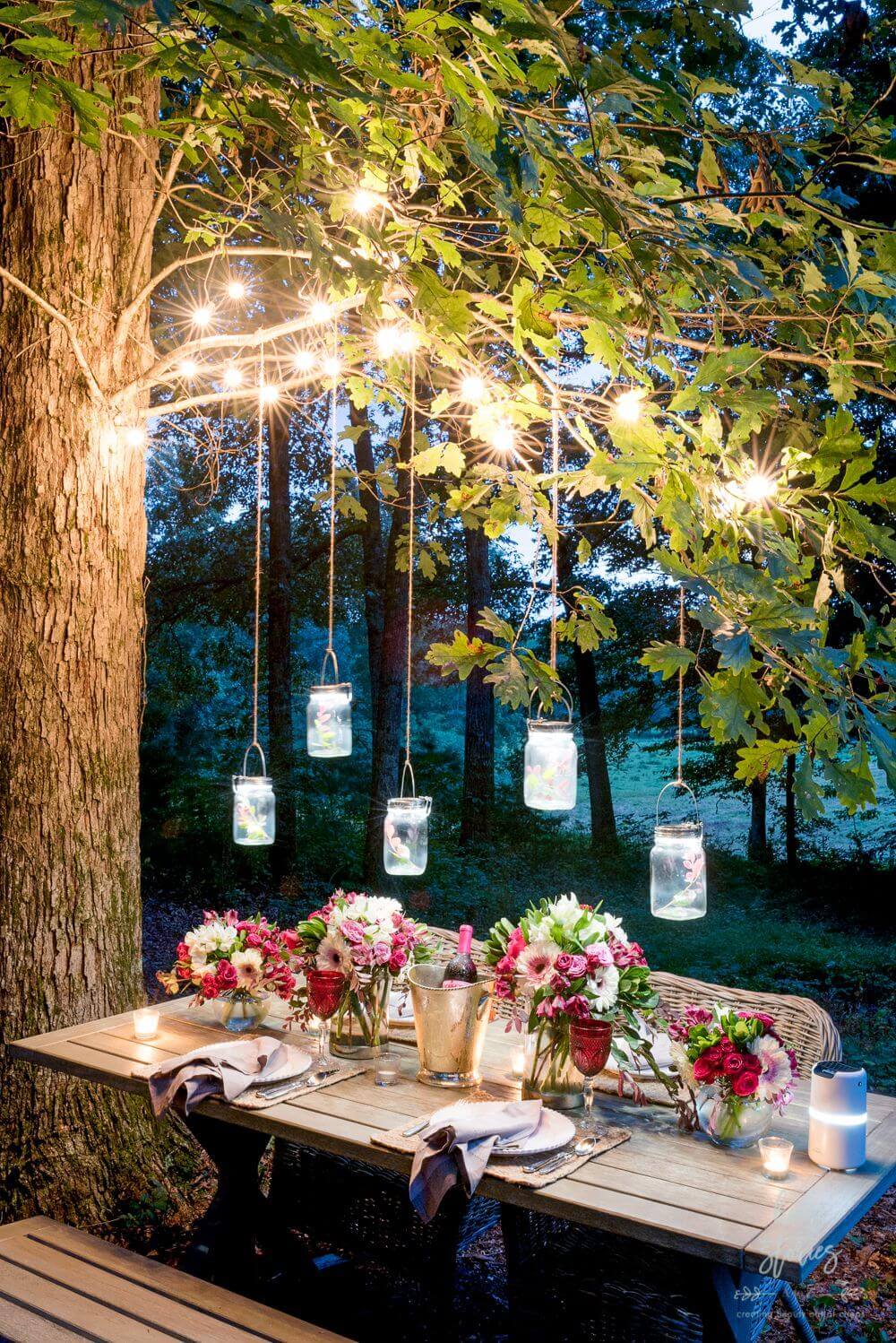 An Outdoor Twinkle Lights That You Love