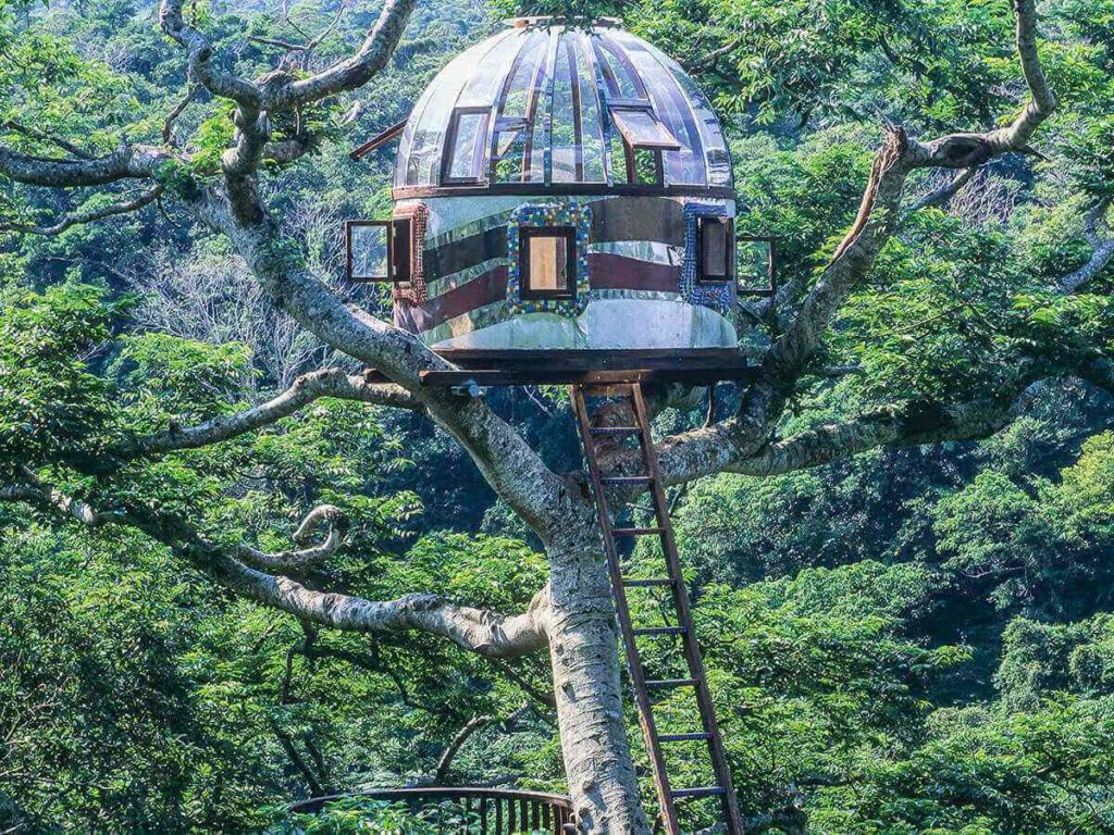 Tree House Design Ideas That Will Make You Feel Amazing