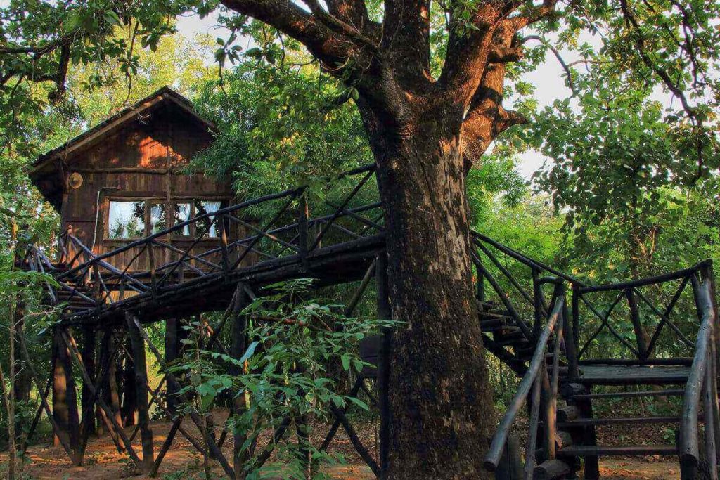 Tree House Design Ideas That Will Make You Feel Amazing