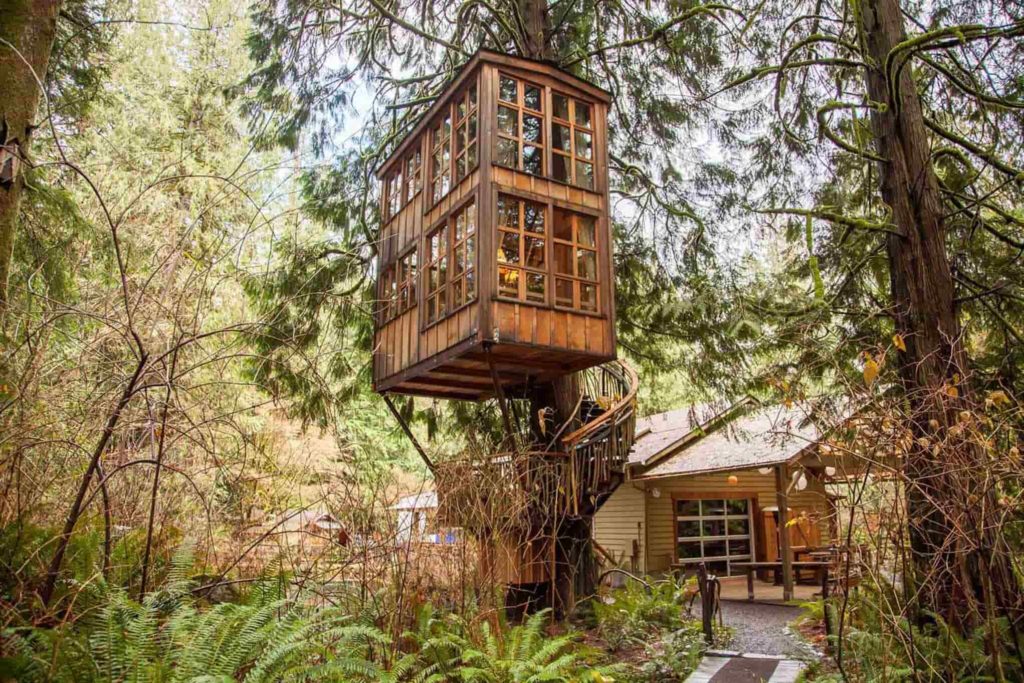 Tree House Design Ideas That Will Make You Feel Amazing