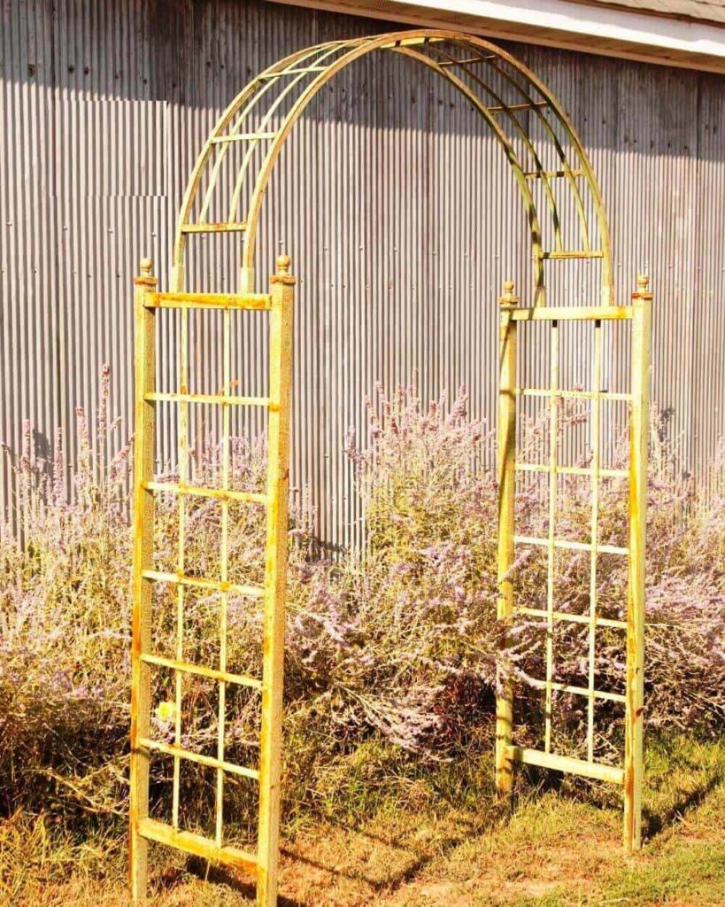 Garden Trellis Ideas to Make Your Garden More Beautiful