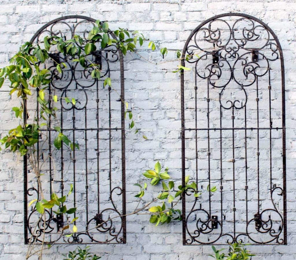 Garden Trellis Ideas to Make Your Garden More Beautiful