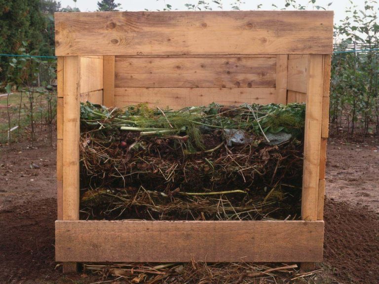 DIY Ingenious Compost Bin Ideas for Your Garden