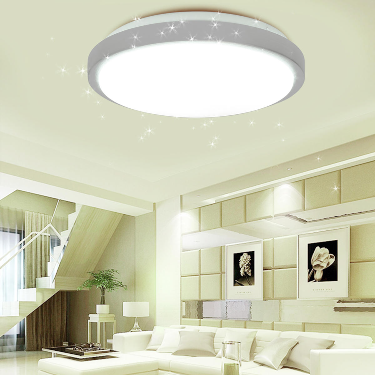 Modern Ceiling Fixture and LED Light Decoration for Livingroom
