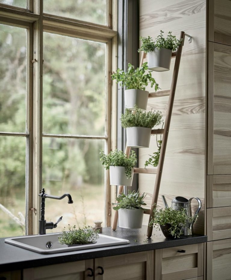 Unique Way to Decorate Your Home with Vintage Ladder