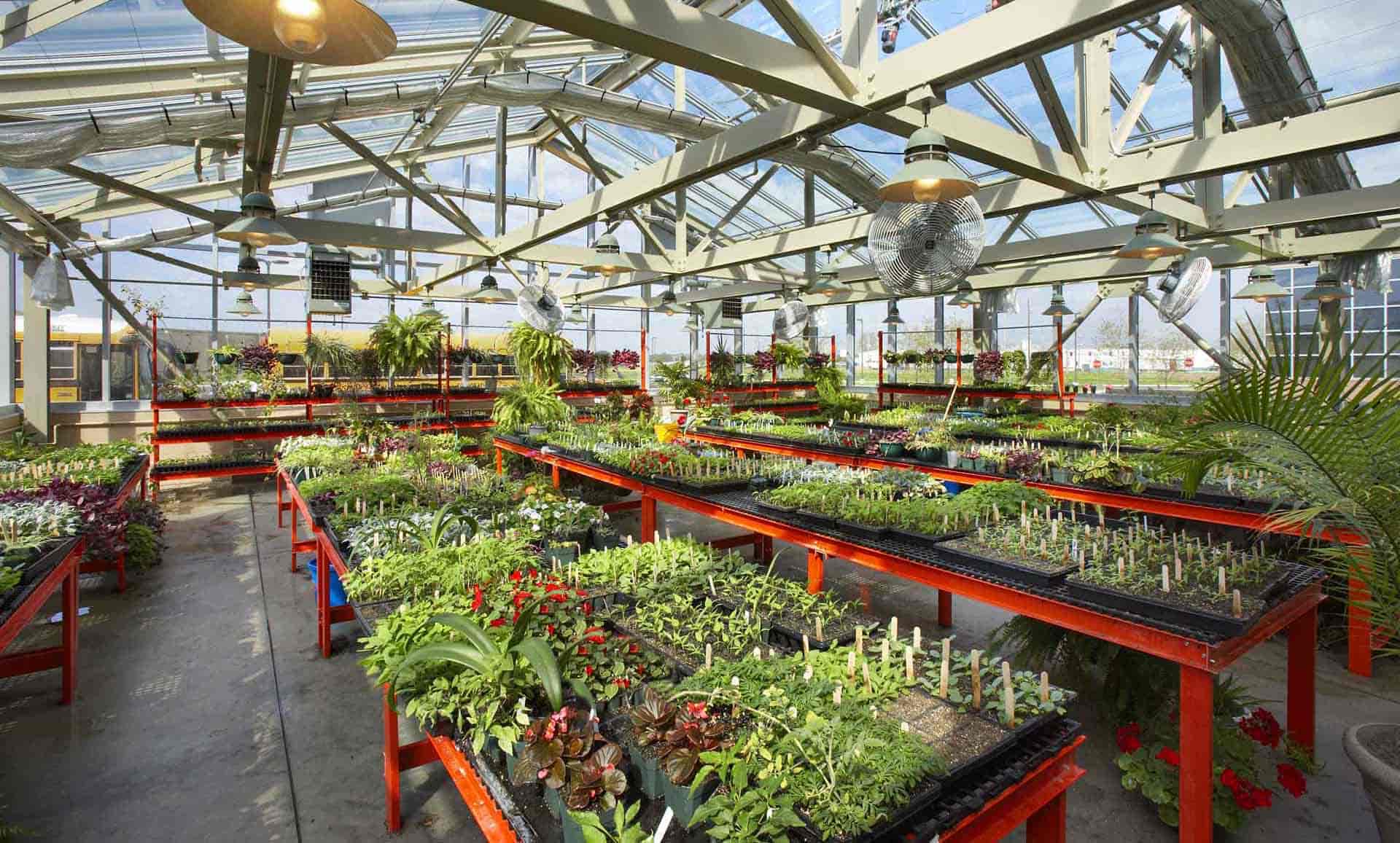 Amazing and Conservatory Greenhouse Interior Design