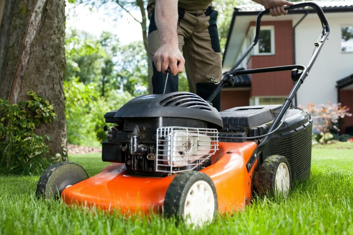 7 Key Things to Look for When Buying a Lawnmower