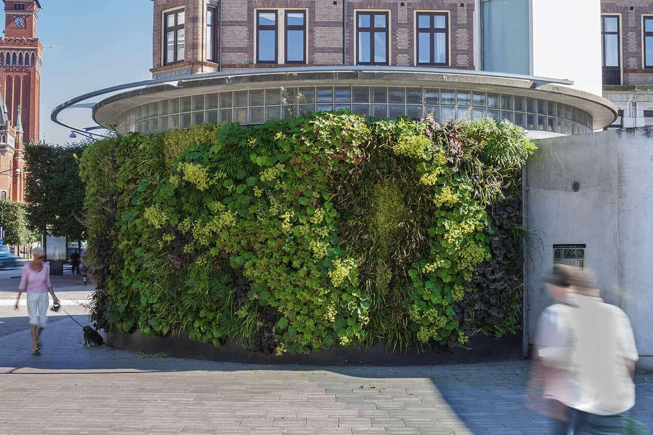 How to Create an Outdoor Vertical Garden