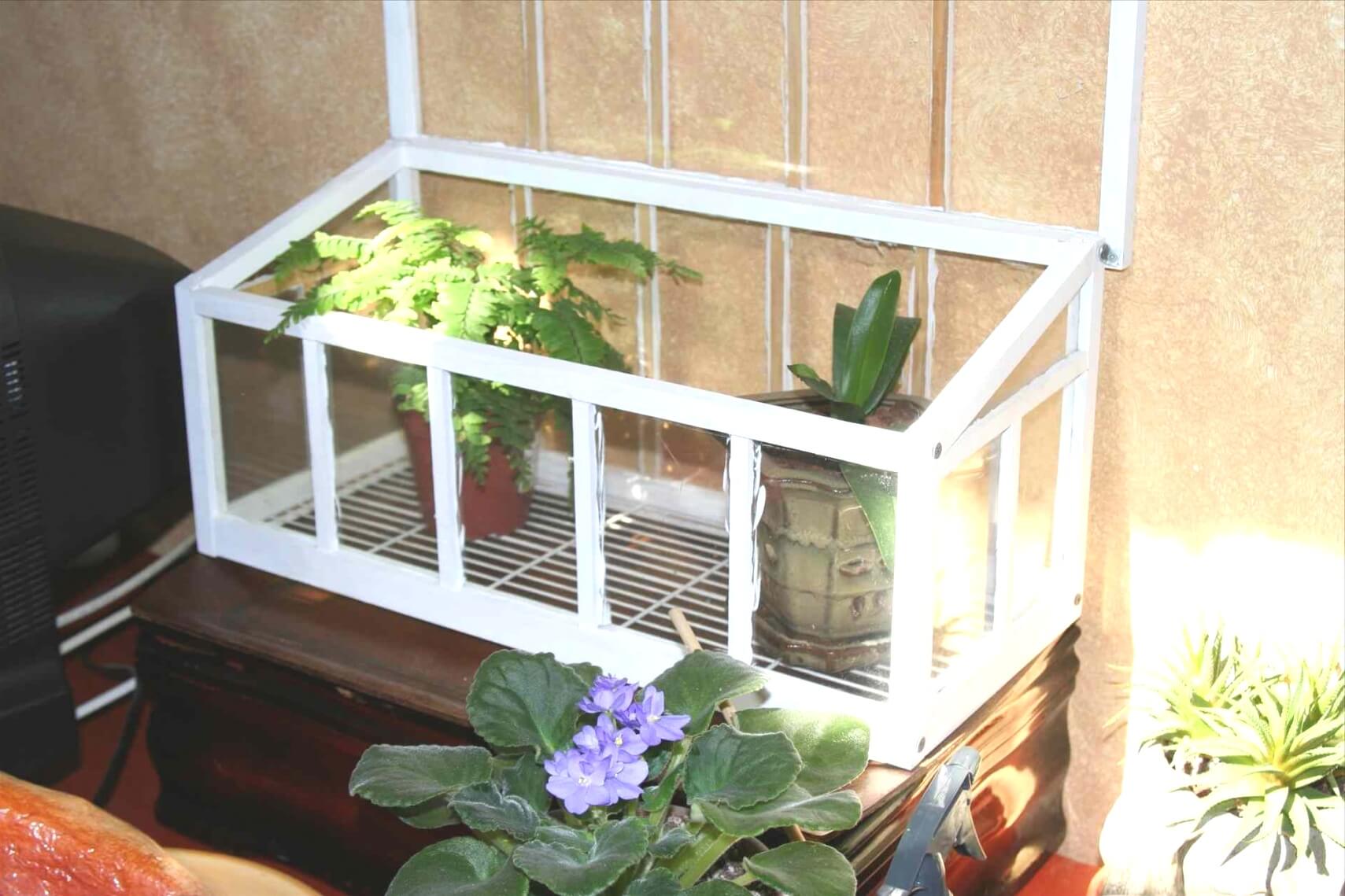 Best Ideas to Create Mini Indoor Greenhouse