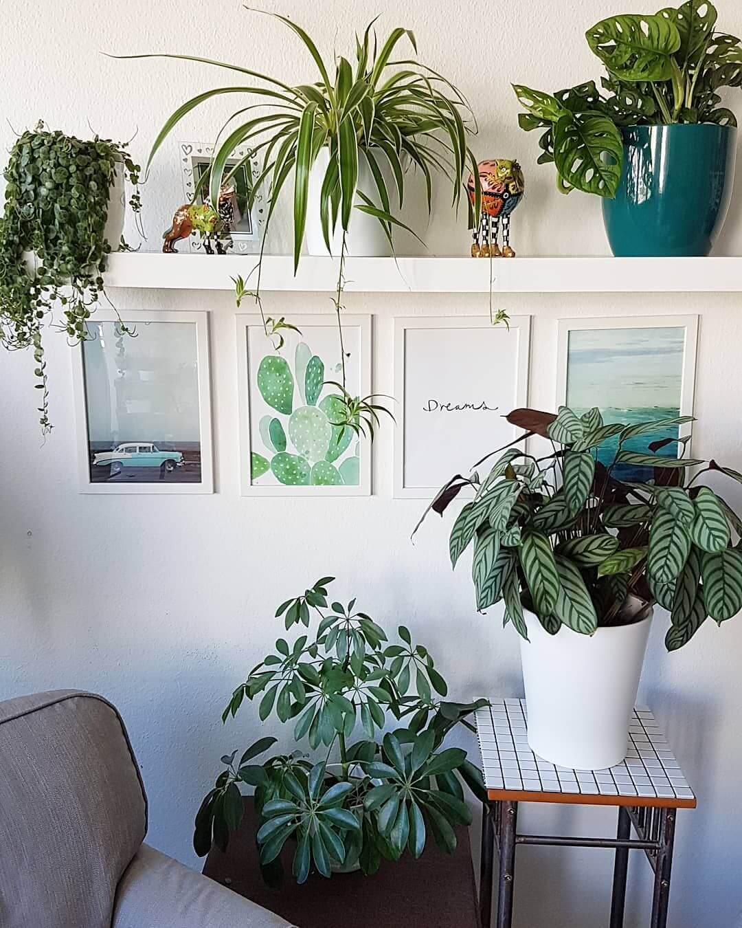 How to Transform Your Home with Natural Element