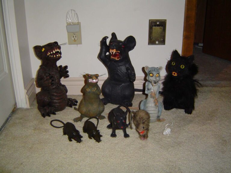 How to Arrange Halloween Props in Halloween Party