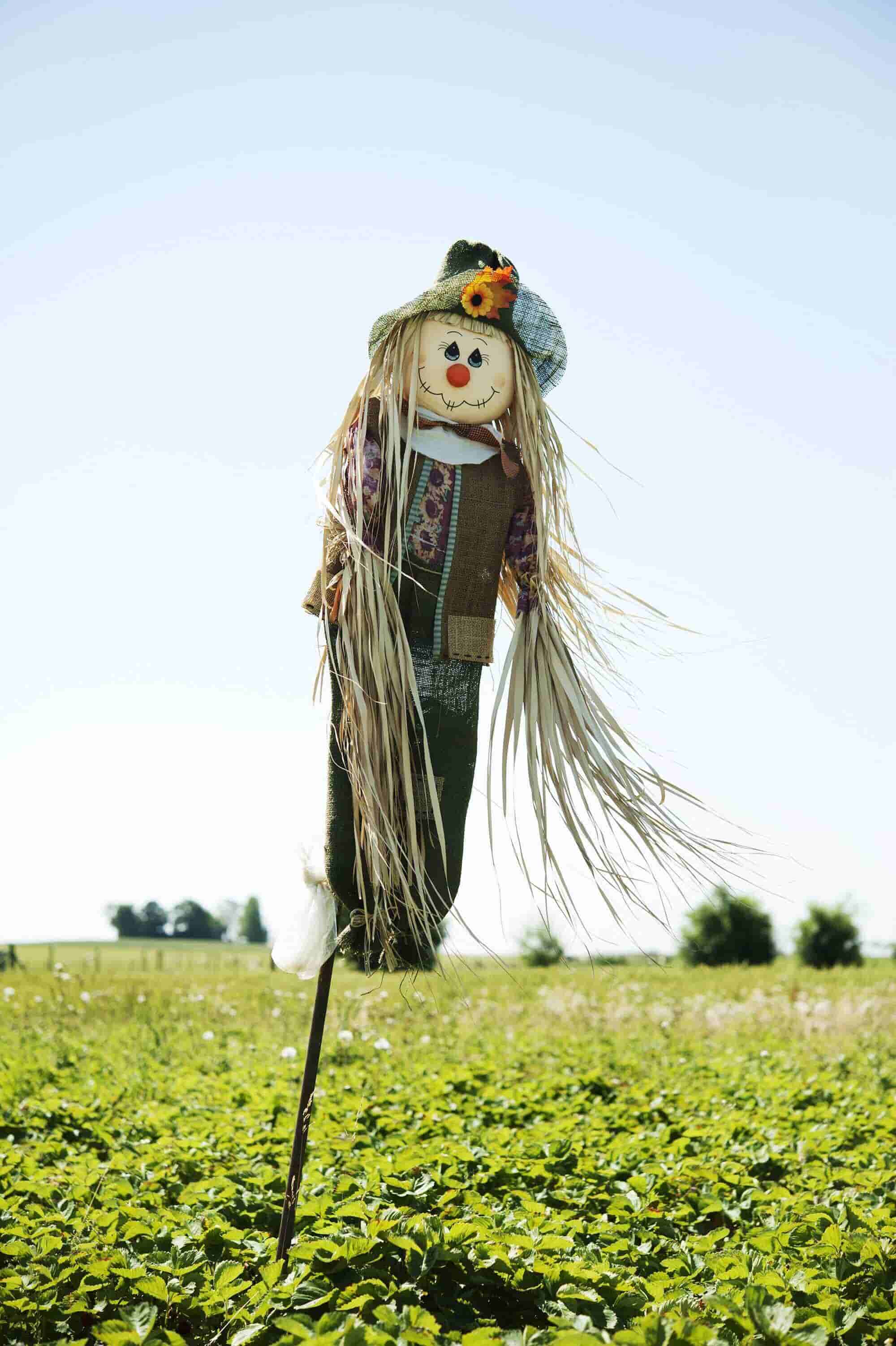 Ideas for Arrange Halloween Scarecrow in Your Halloween Party