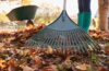 Fall Lawn Prep: What Do You Put on Your Lawn in the Fall?