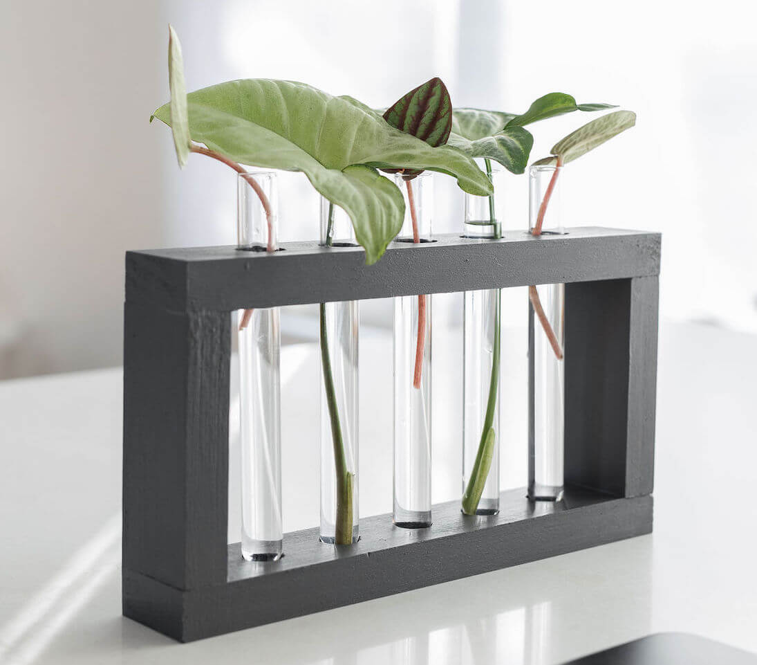 You Need to Know About Decoration of Test Tube Planters