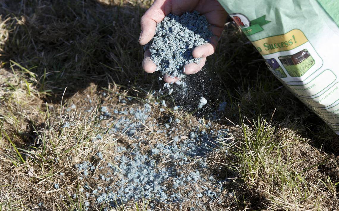 Lawn Repairing: 7 Steps to Perfect Backyard