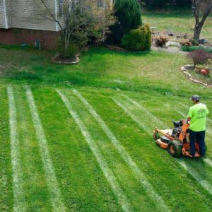 Effective Lawn Mowing Techniques: Get the best techniques
