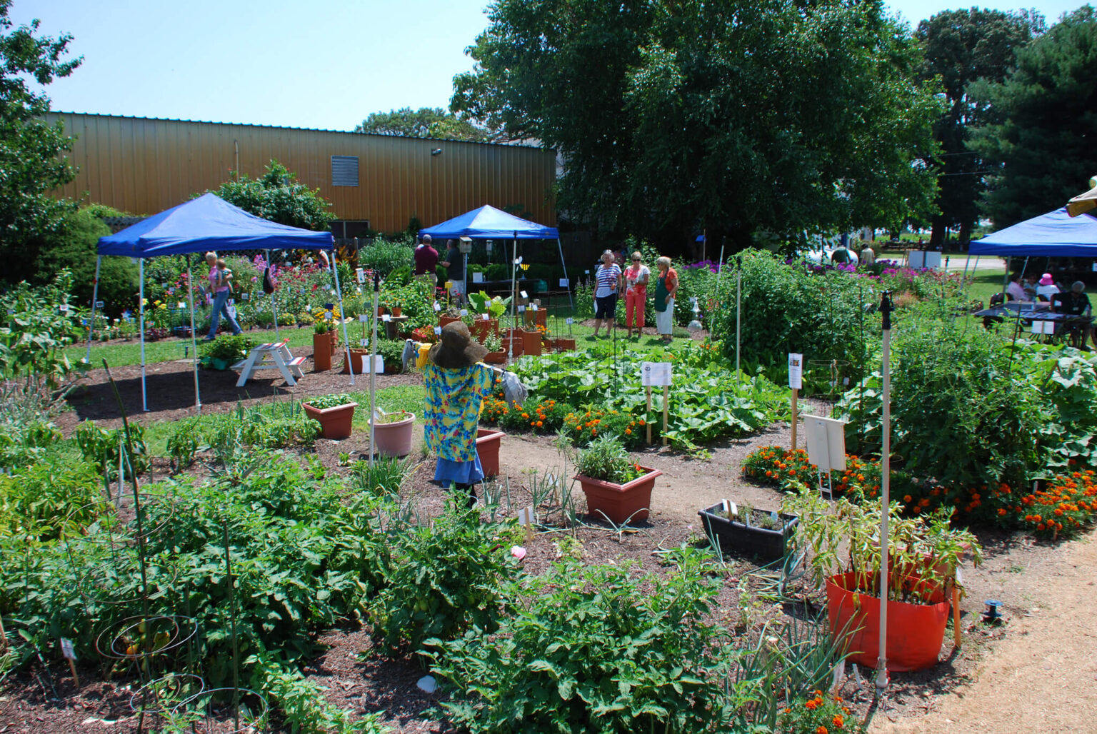 Different Types Of Garden That You Should Know