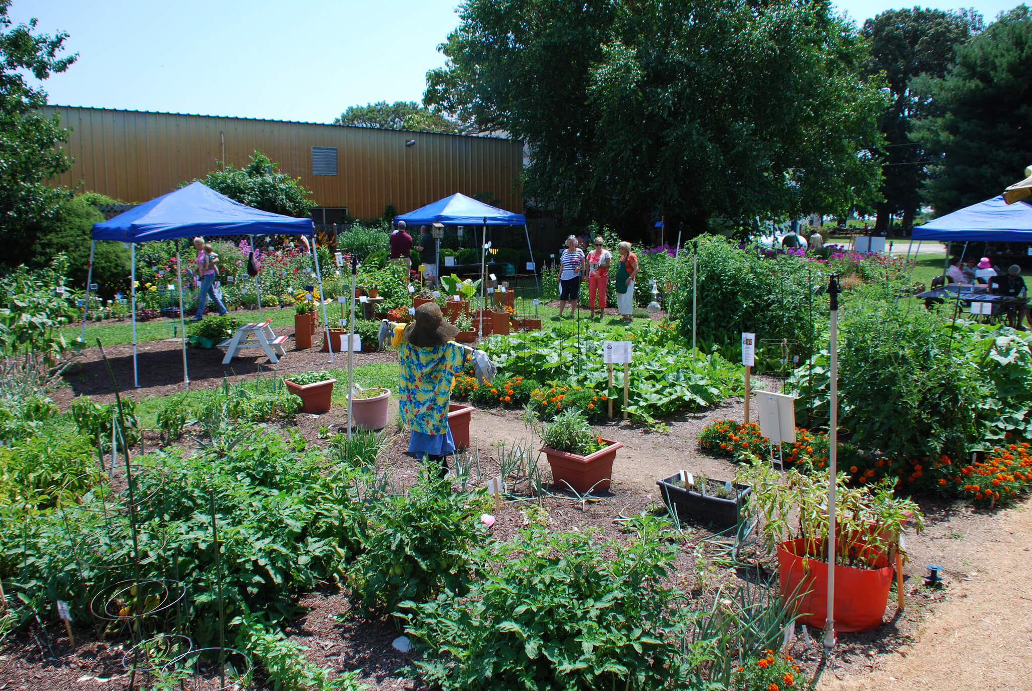 Different Types Of Garden That You Should Know