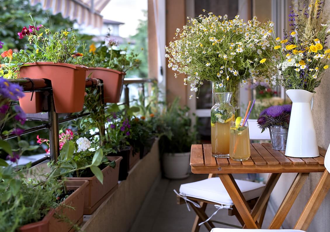 Different Types Of Garden That You Should Know