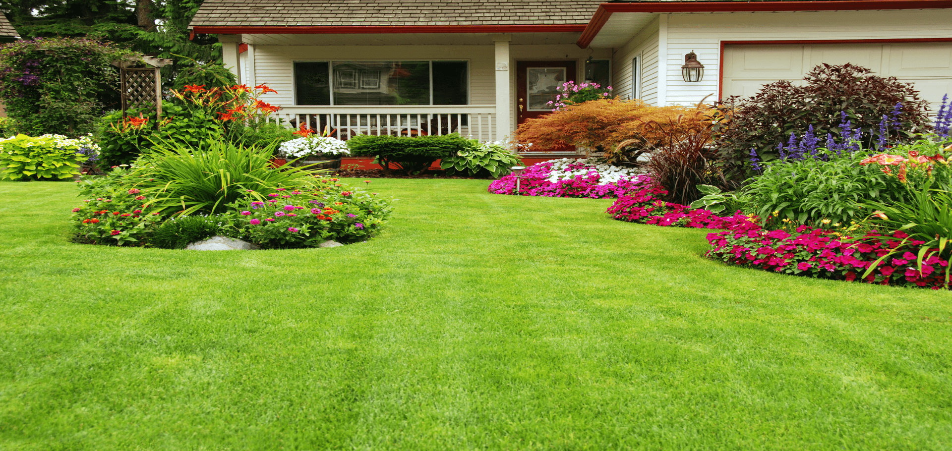 How To Take Good Care of Your Yard?