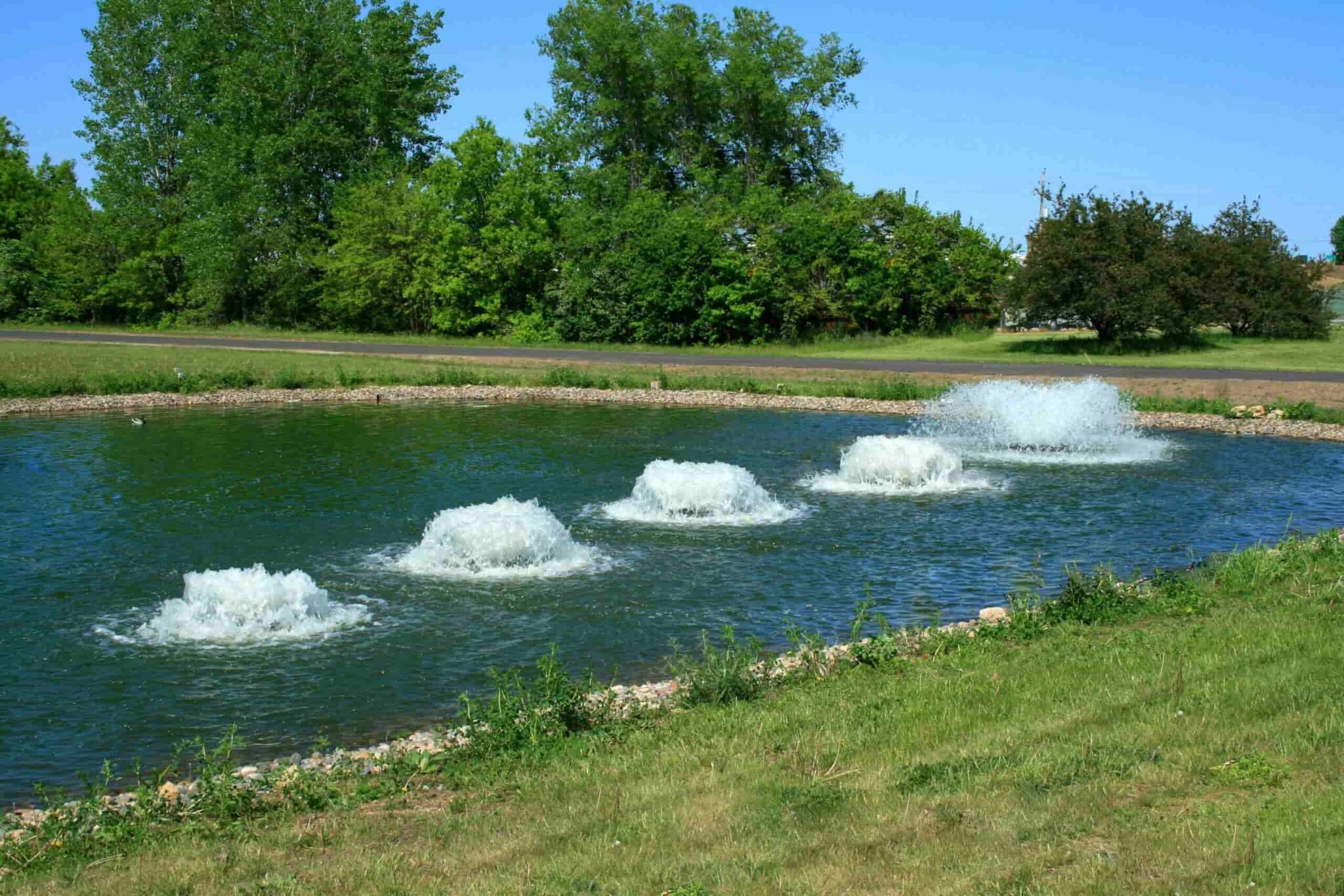 The Important Benefits Of Pond Aeration