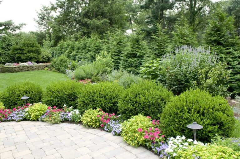 7 Must Have Features for Your New Landscape Design