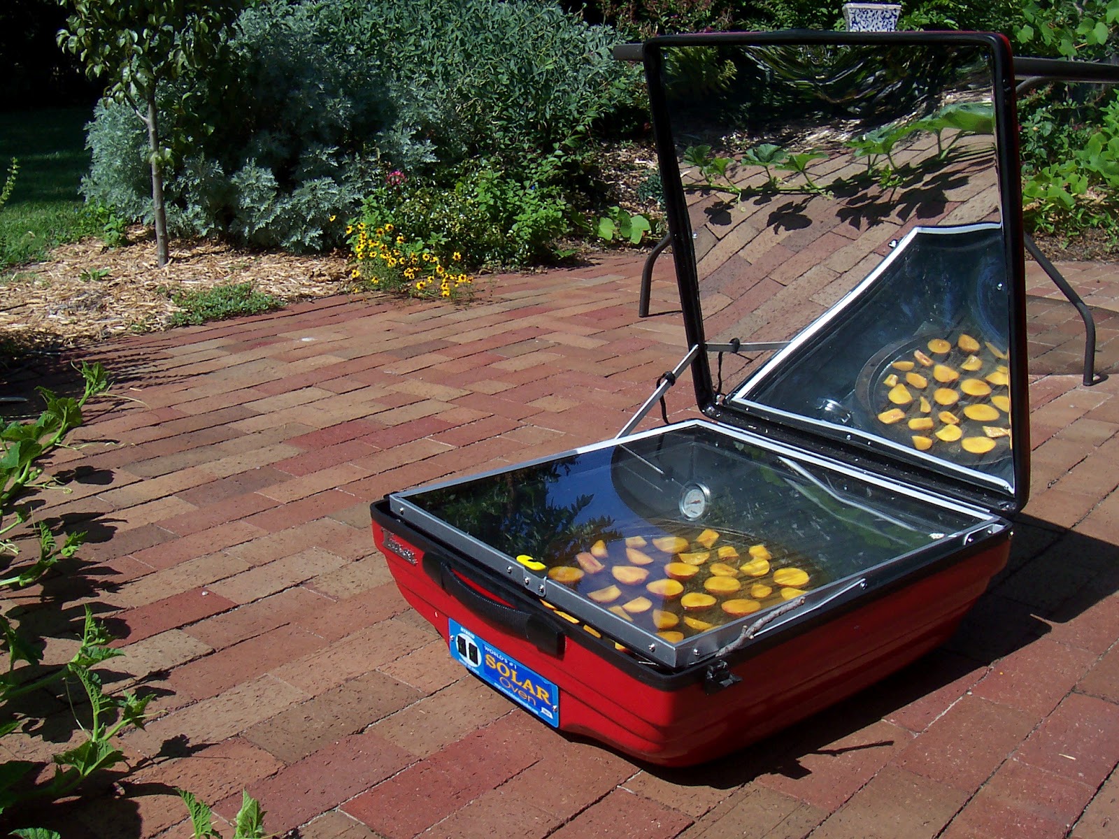 Incredible Solar Energy Gadgets: Everyone Should Have!