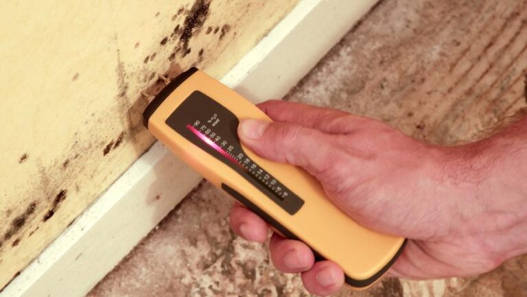 What Role Damp Survey Surveyors Carry In Our Life?