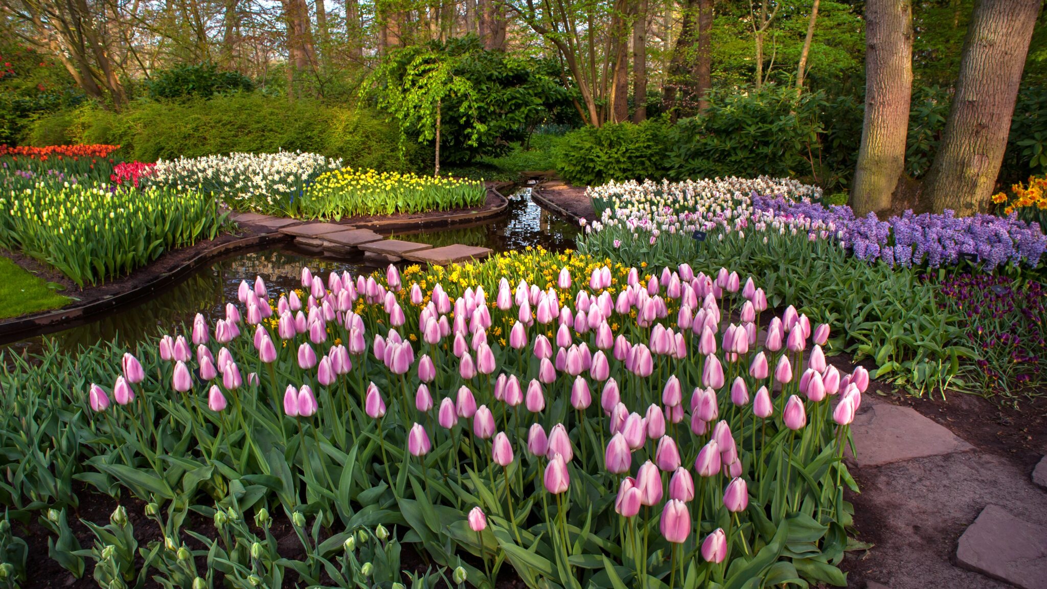 The Ultimate Spring Garden Planning Guide