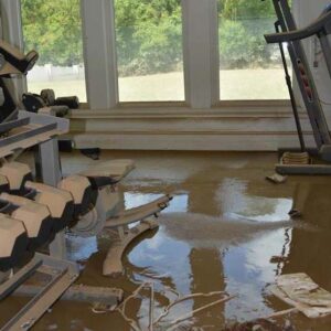 Why Is Flood Water Category 3?