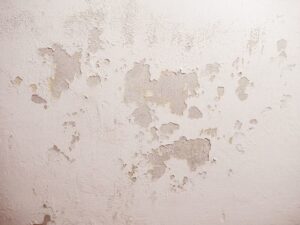 How High Humidity Causes Water Damage