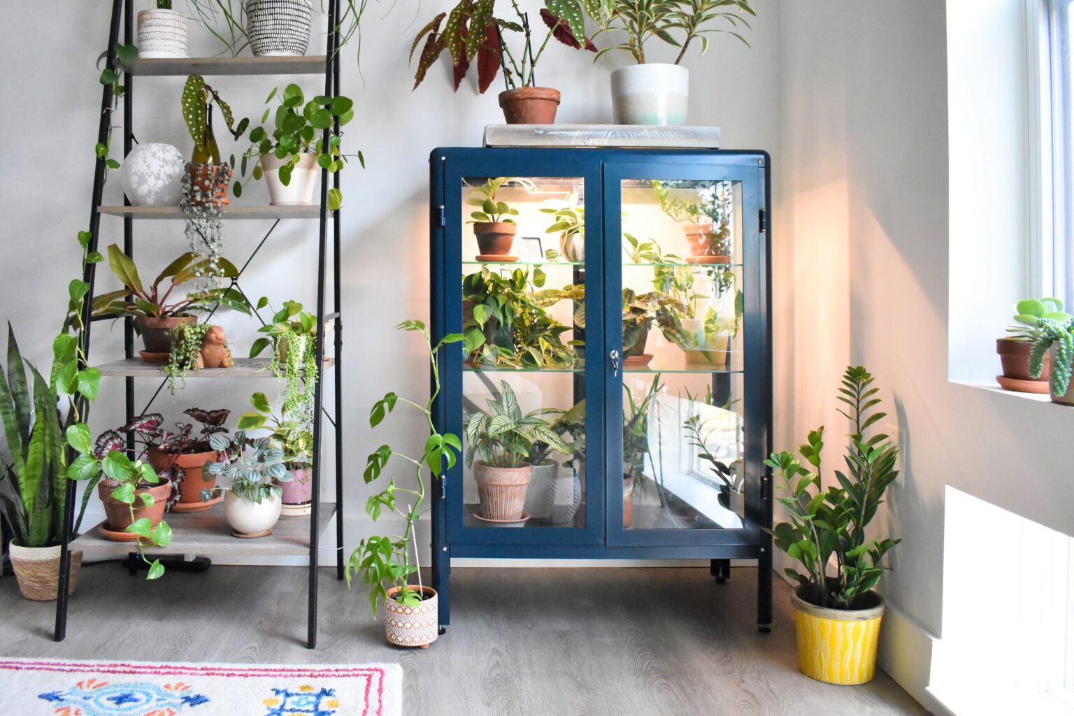 Greenhouse Cabinets - Trending Hack For Plant Lovers!