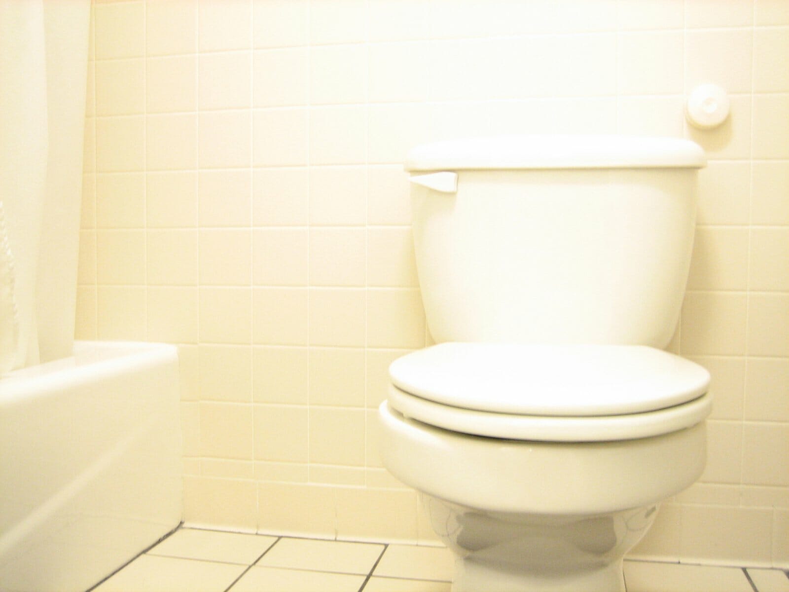 5 Common Toilet Problems and How to Fix Them