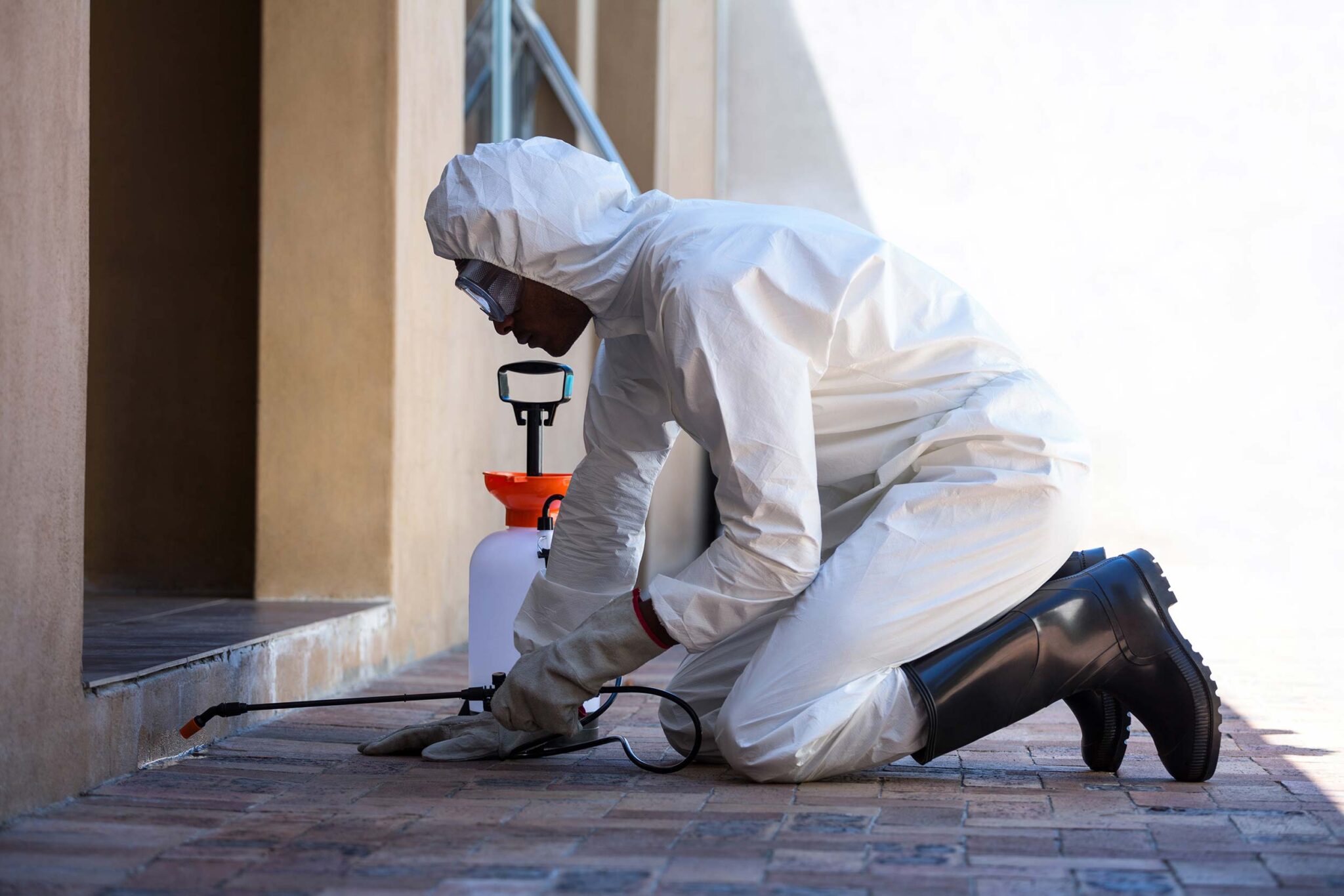 Pest Control and Prevention with Las Vegas Exterminators