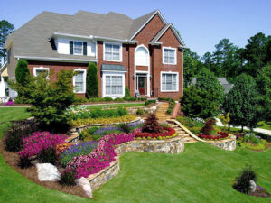 Enhancing Your Lawn's Aesthetic on a Budget: Expert Tips for a Picture ...