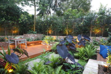 Transforming Courtyards into Lush Oasis in Urban Homes