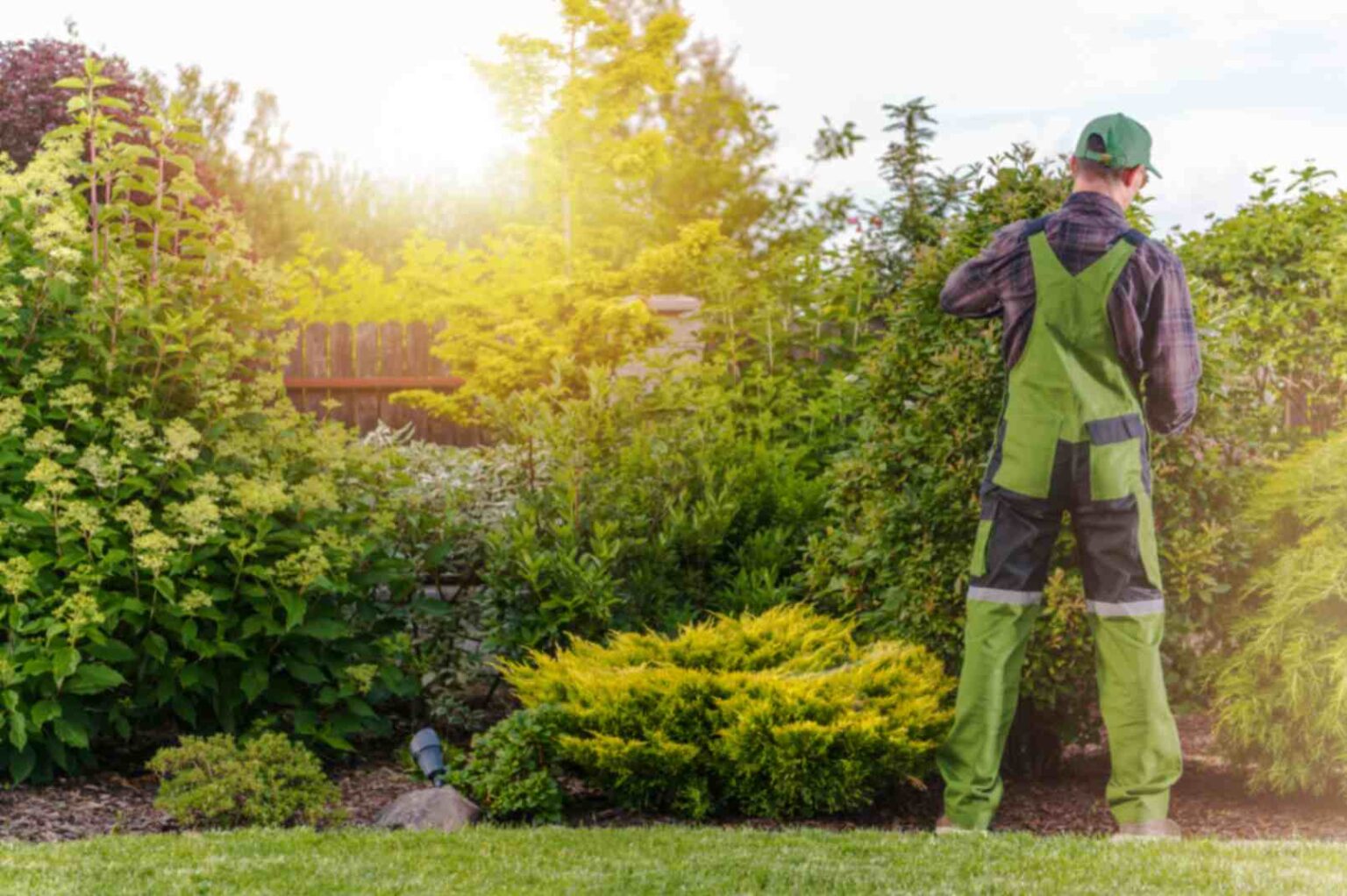 5 Benefits of Hiring Local Landscaping Service in Victoria, BC