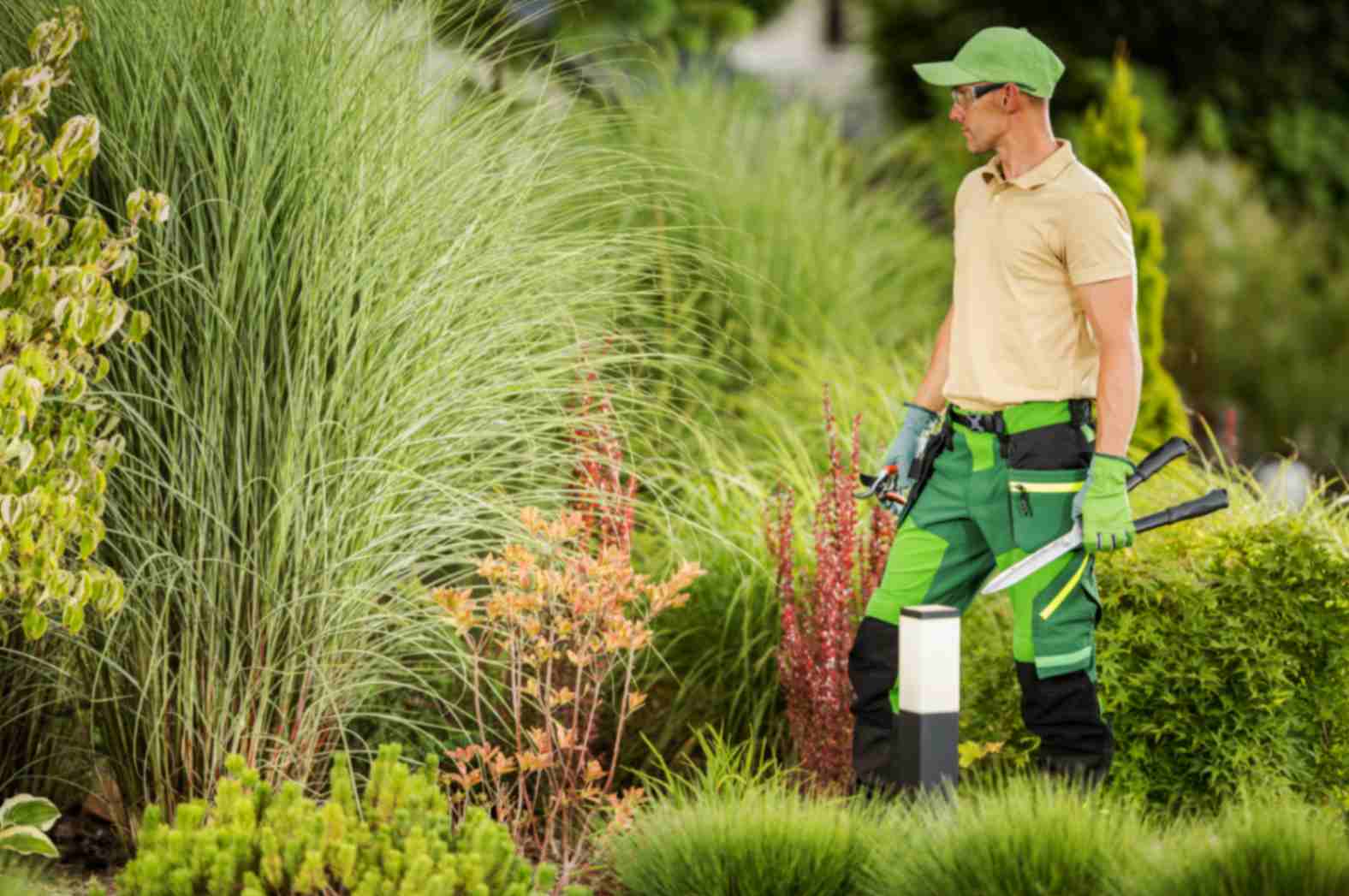 5 Benefits of Hiring Local Landscaping Service in Victoria, BC