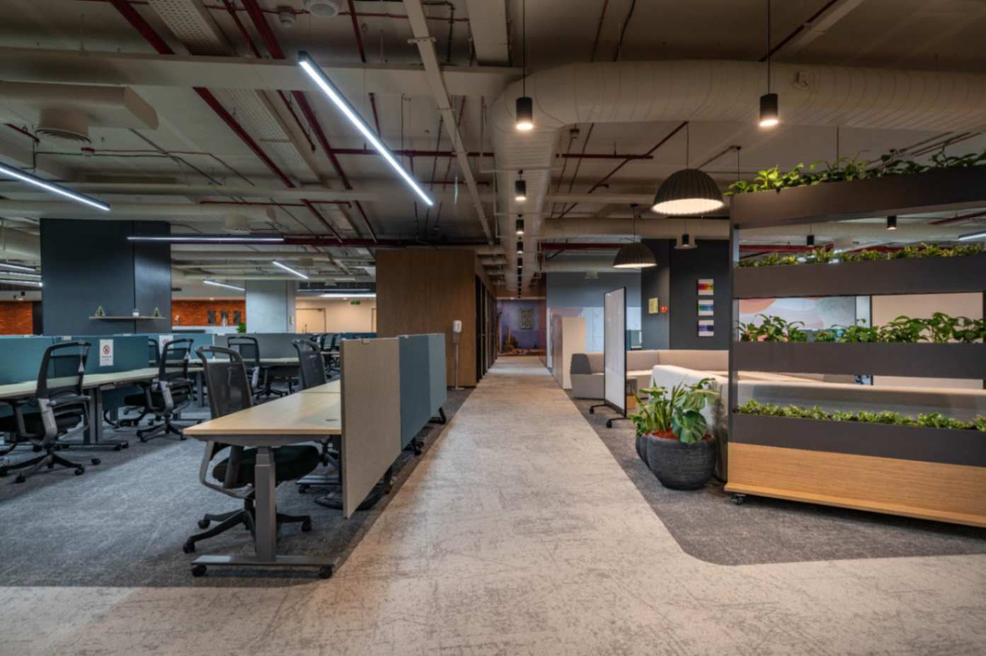 How Color Influences Office Design and Boosts Productivity